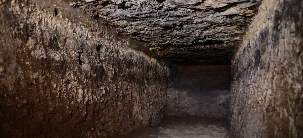 Fotos: El lado desconocido de Copilco | Aristegui Noticias