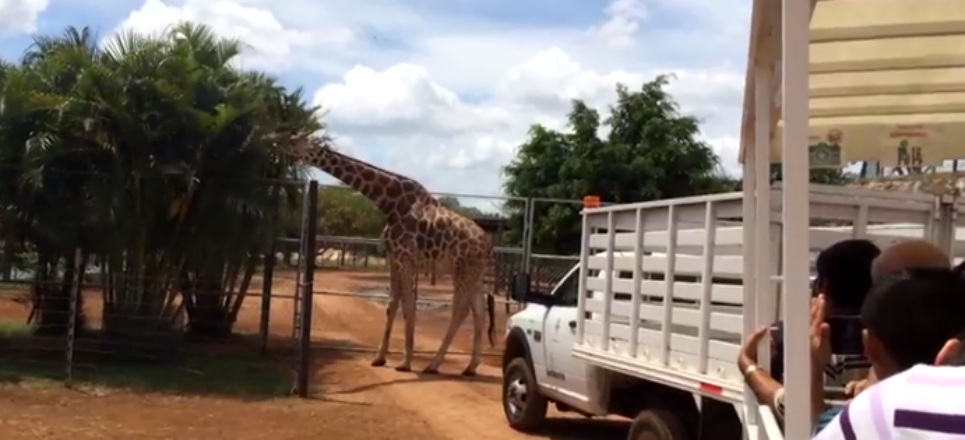 Viajes: Conoce el Animaya, en Yucatán (video) | Aristegui Noticias