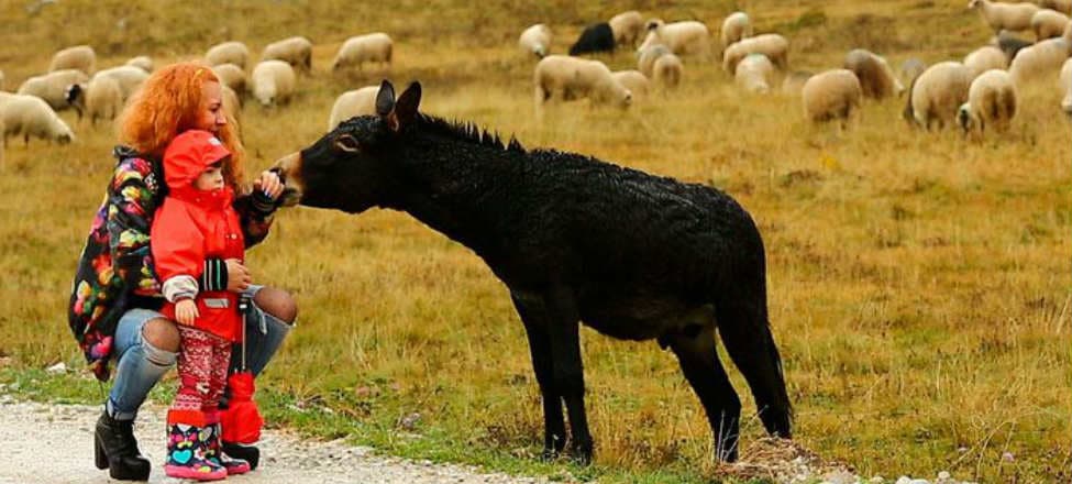 ‘La caótica vida de Nada Kadic’, un asomo al día a día de una madre ...