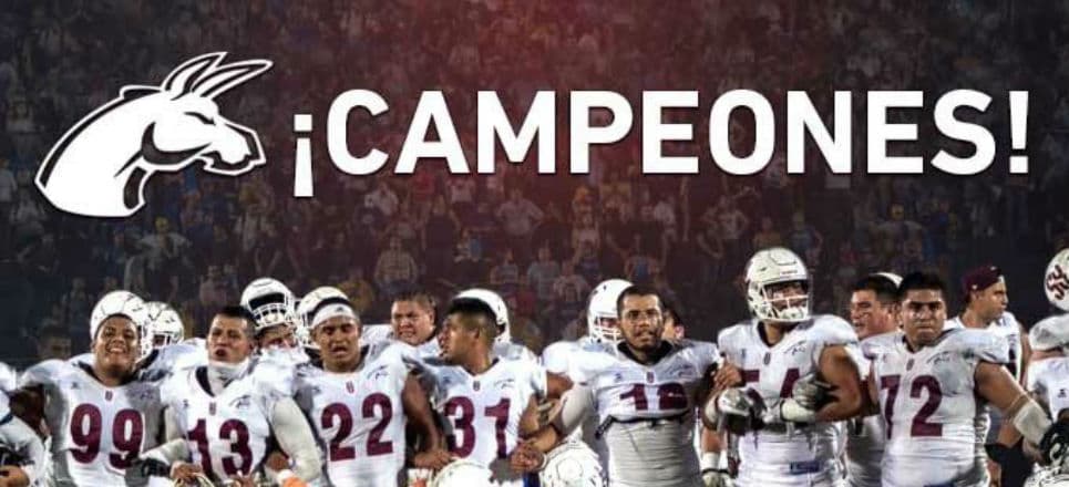 Se corona Burros Blancos del IPN en la ONEFA | Fotonota | Aristegui ...