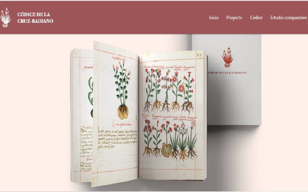 Reeditan el Códice De la Cruz-Badiano, el herbolario más antiguo de ...