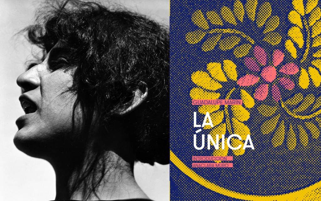 ‘La única’, de Lupe Marín se suma a la colección Vindictas | Aristegui ...