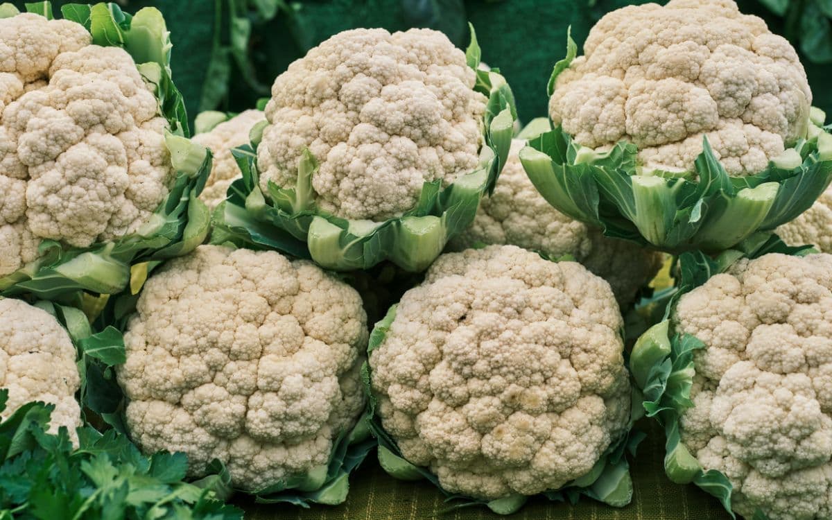 ¿Qué beneficios te da comer coliflor? | Aristegui Noticias