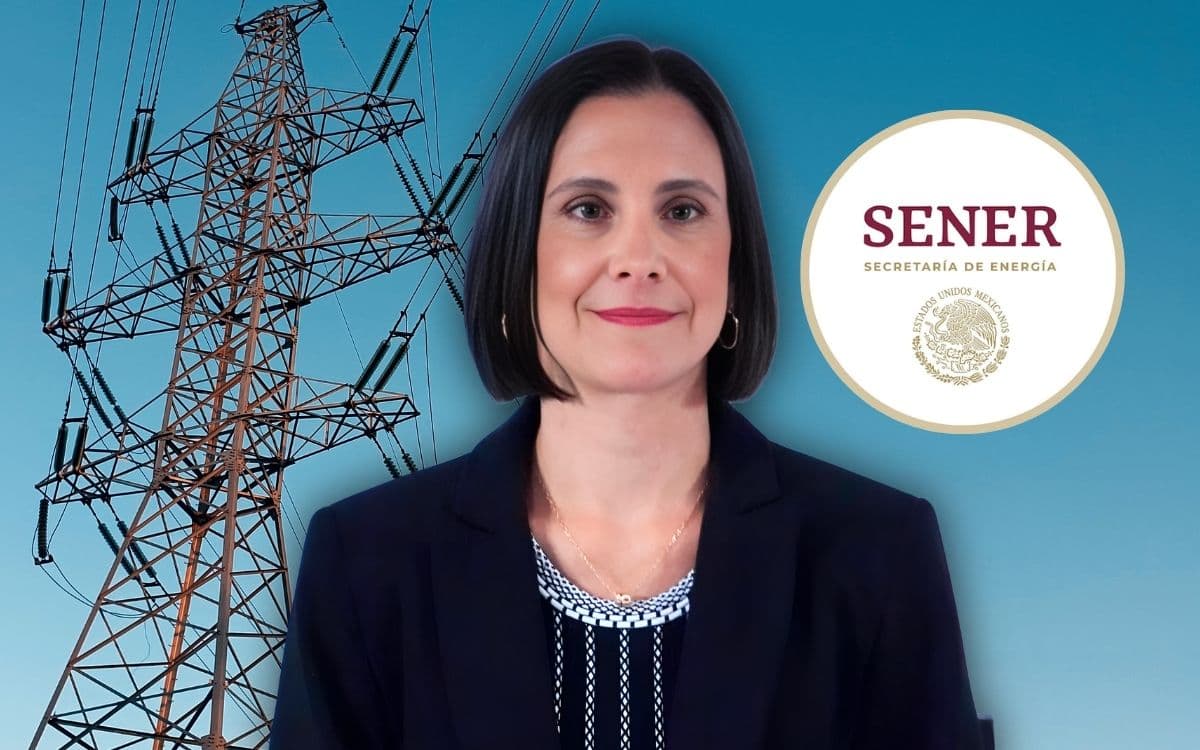 Luz Elena González, egresada de la UNAM, será la nueva titular de la Secretaría de Energía ...