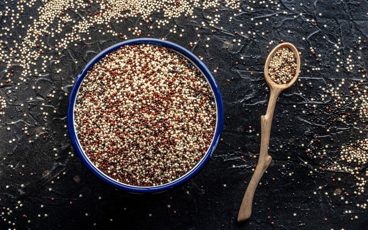 ¿Qué es la quinoa y cuáles son sus beneficios? | Aristegui Noticias