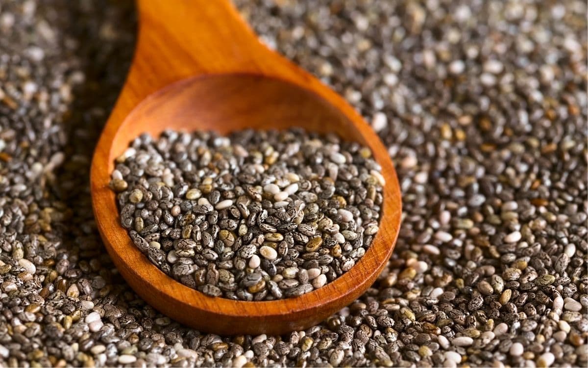 Descubre la chía, sus beneficios y sus propiedades | Aristegui Noticias